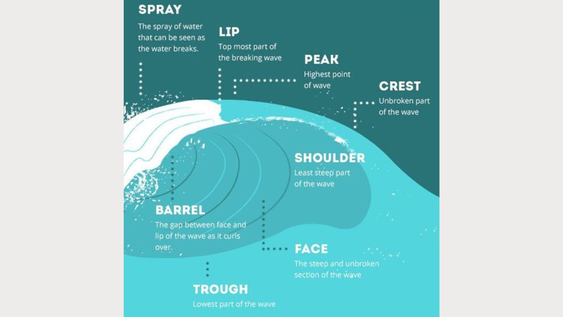 Anatomy Of A Wave